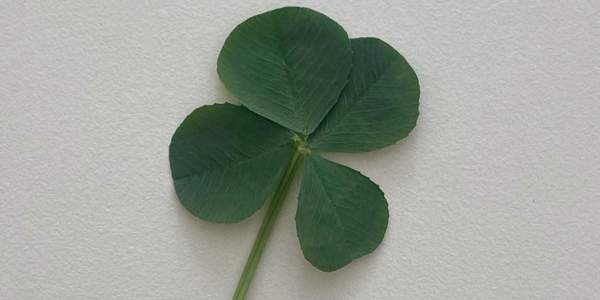 KKFF - 포스트 1페이지