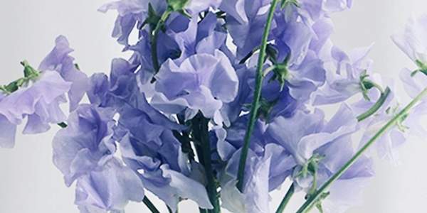 Instant lover 외전 1: Moonstruck love