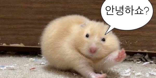 포스트 전체 무료 공개 완료했습니다.: Shredded Heart