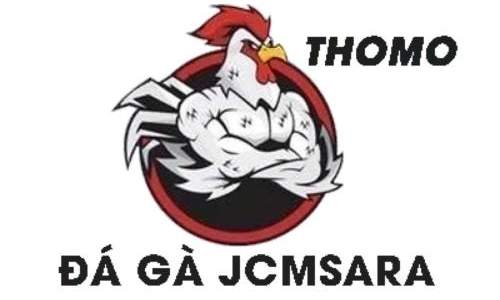 ĐÁ GÀ TRỰC TIẾP THOMO HÔM NAY: ĐÁ GÀ TRỰC TIẾP THOMO HÔM NAY