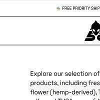 Cathrine Cassin: Cathrine Cassin