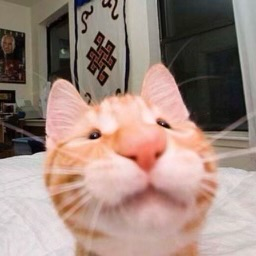 ART LOG & SETTING COLLECTION: 포스타입 채널