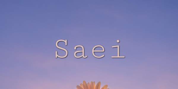 새이 Saei: 포스타입 채널