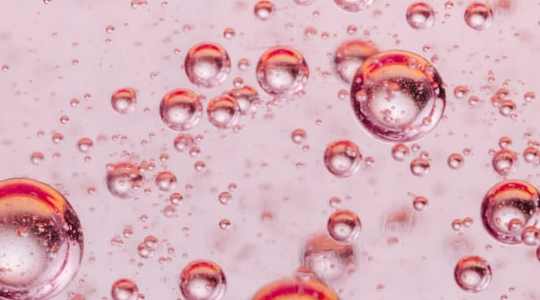 preserved forget-me-not: forgive-me-not