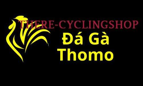 Đá Gà Trực Tiếp Thomo: 포스타입 채널