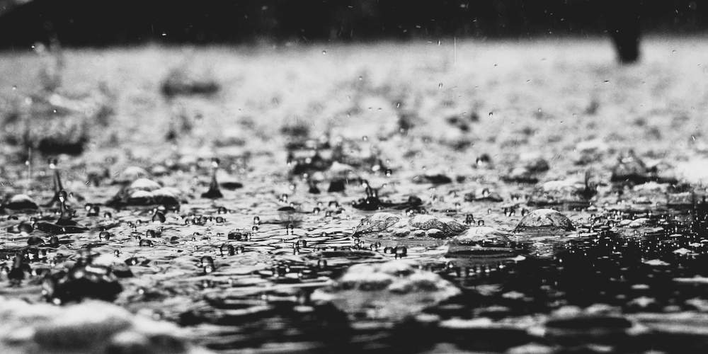 주워온 고양이가 어떻게 서쟈니 SSUL 3: 내가읽고싶어쓰는채널