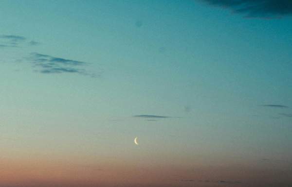 -: 포스타입 채널 - 활동: 전체