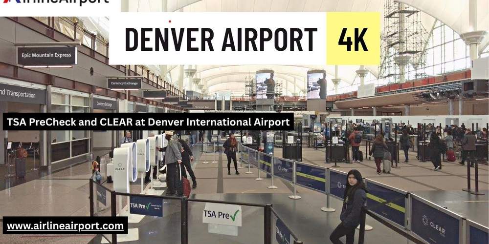 DIA TSA Wait Times: How to Plan for a Smooth Airport Experience: Michael09